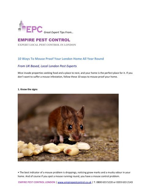 Tips On Why Implementing Mouse Proofing Is Really Important