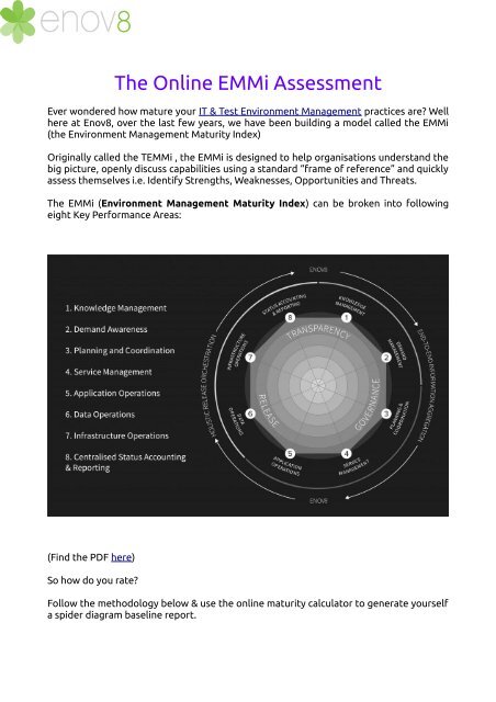 The Online EMMi Assessment