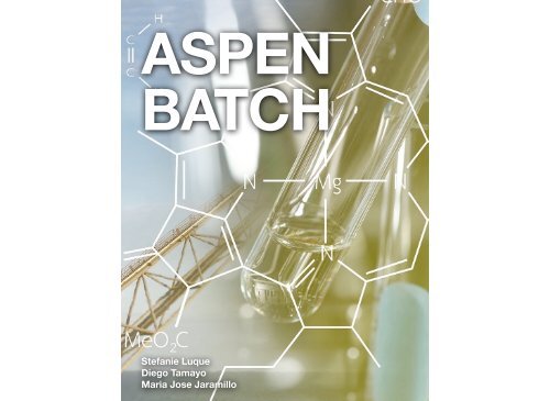 Aspen Batch Process Developer