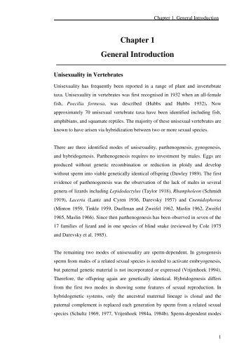 Dissertation chapter 1 headings - articleeducation.x.fc2.com