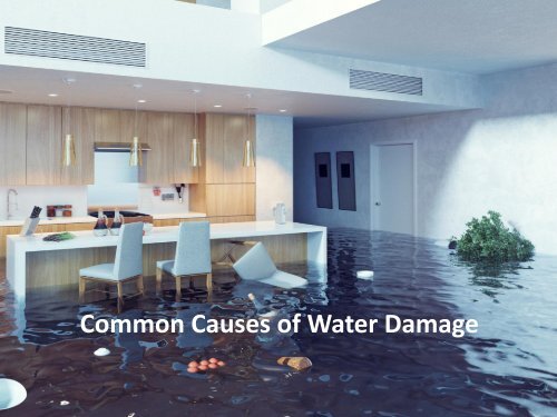 Common Causes of Water Damage