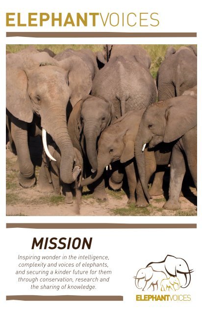 ElephantVoices-pamphlet-USletter-flipbook