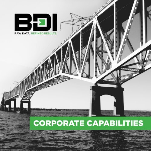 BDI Corporate Capabilities