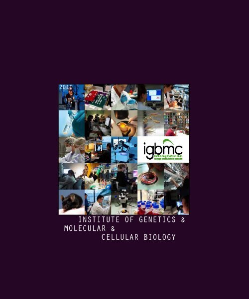 probing complexity - IGBMC