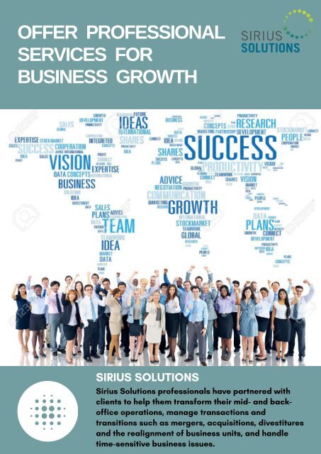 Sirius Solution - Professional Services For Business Growth
