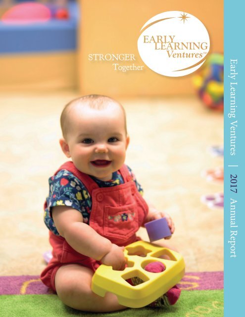 ELV Annual Report 2017