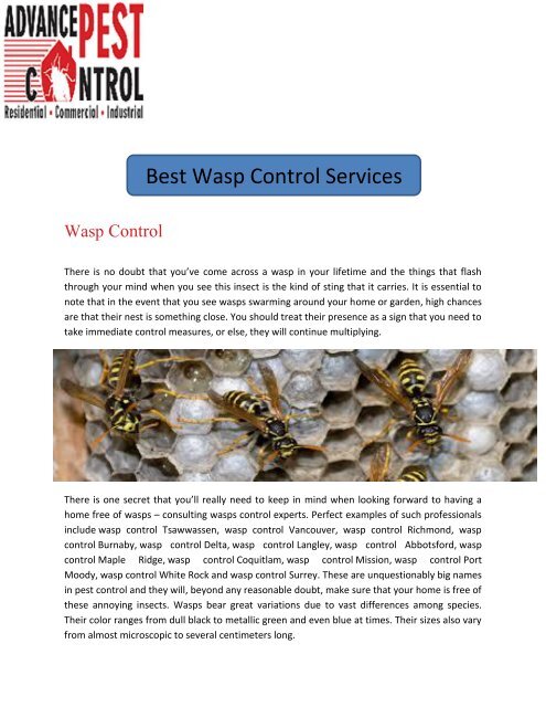 Wasp Control