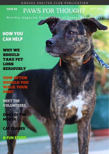 Gouves+Animal+Shelter+Paws+for+Thoughts+September+2018 (1)