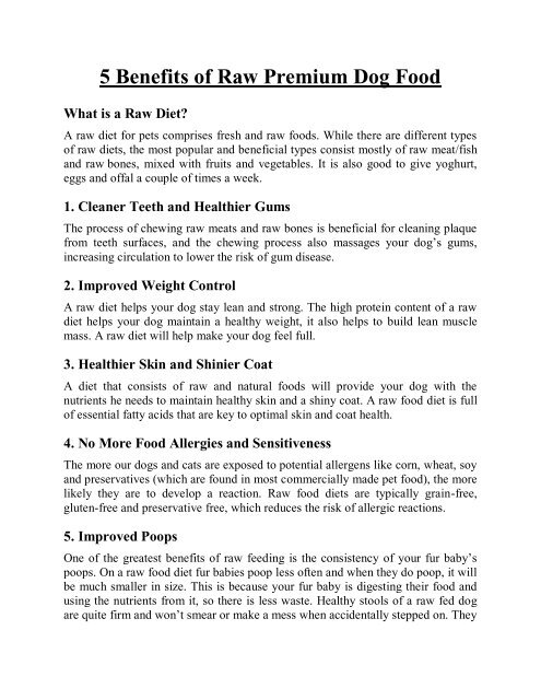 5 Benefits of Raw Premium Dog Food