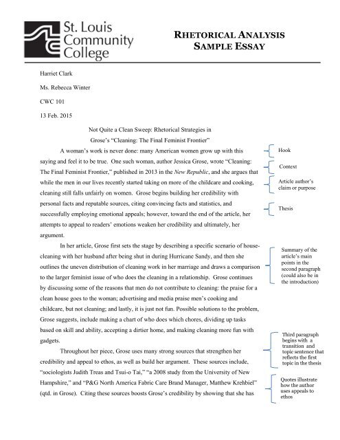 Rhetorical-Analysis-Sample-Essay