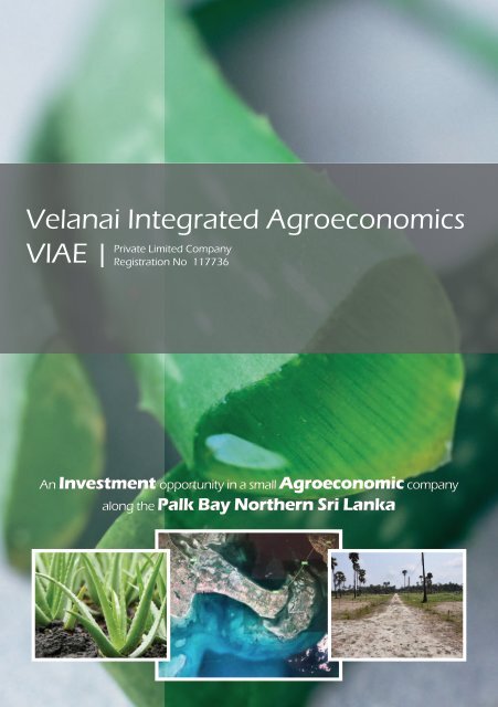 VIAE - Brochure_V4