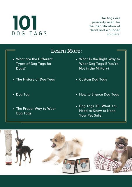 How Do You Read A Dog Tag