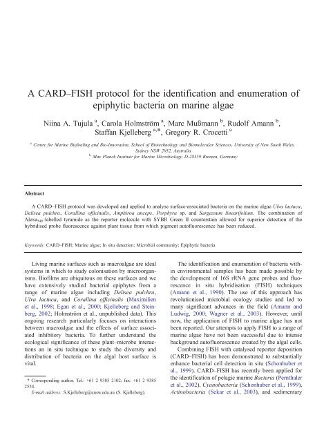 A CARD–FISH protocol for the identification and enumeration of ...