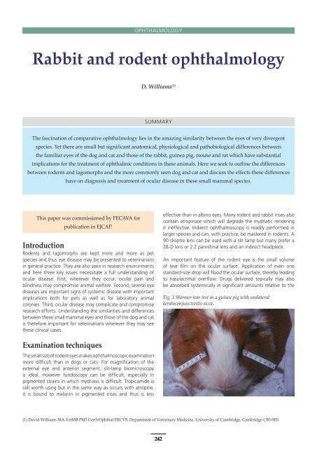 Rabbit and rodent ophthalmology - Medirabbit
