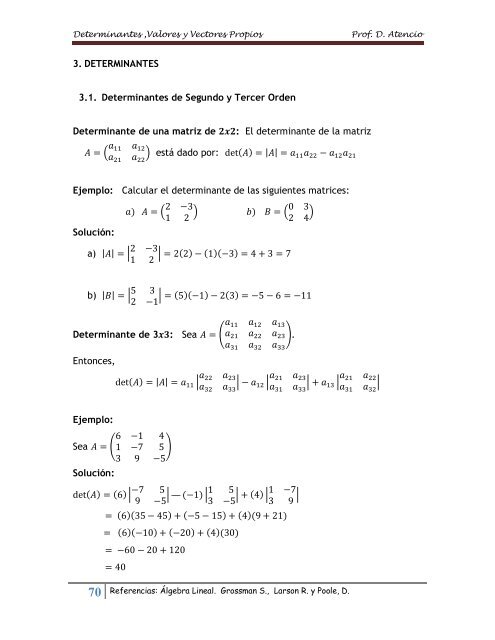CAPITULO 3 DETERMINANTES