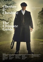 Chester Mini Guide 2016