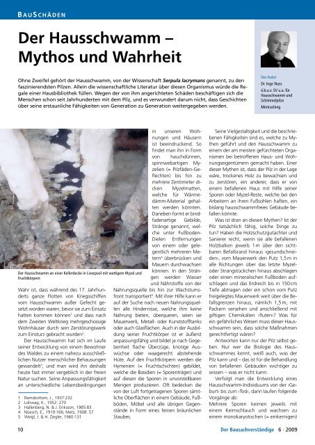 Der Hausschwamm – Mythos und Wahrheit