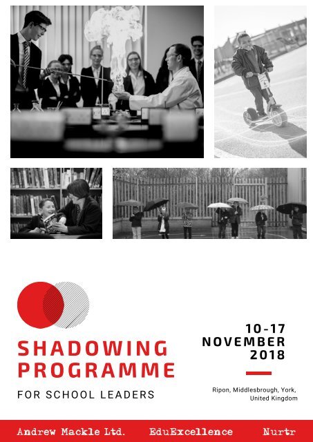 Shadowing Programme brochure