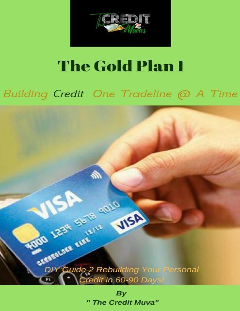 The Gold Plan 1 (2)