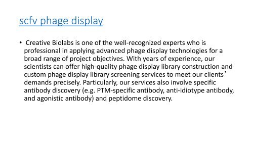scfv phage display