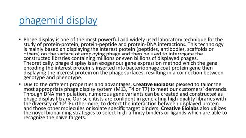 phagemid display