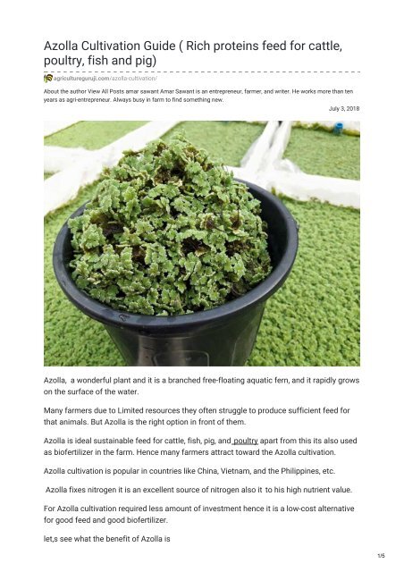 agricultureguruji.com-Azolla Cultivation Guide Rich proteins feed for ...