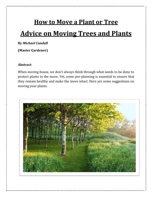Advice on Moving Trees and Plants