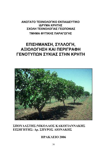 sykies - 2006Kakogianakis