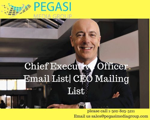 Chief Executive Officer Email List_ CEO Mailing List in usa