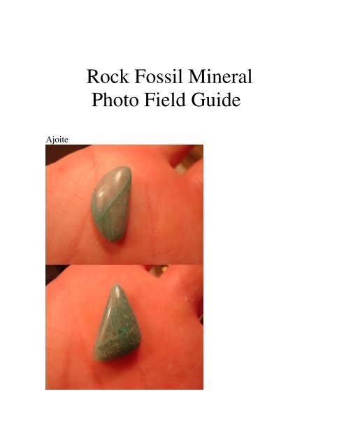Rock Fossil Mineral Photo field guide