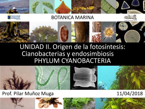 CLASE03-Cianobacterias