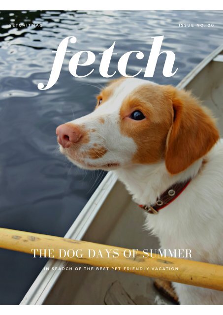 fetch