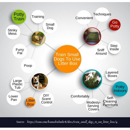 Train Small Dogs To Use Litter Box Train Small Dogs To Use Litter Box