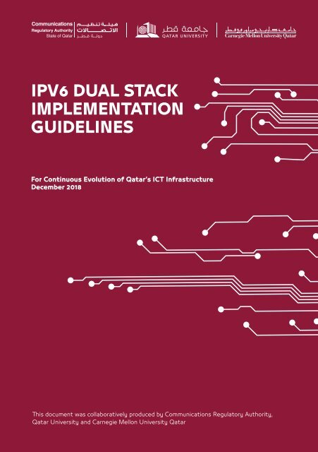 IPv6_Dual Stack Implementation Guidelines