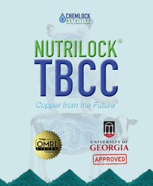 TBCC Brochure
