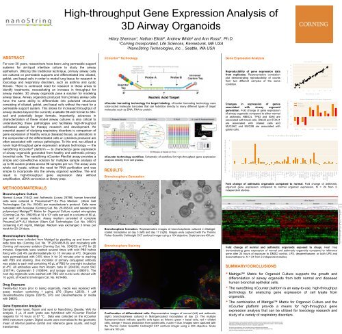 High Throughput Gene Expression Analysis Of 3D Airway Organoids