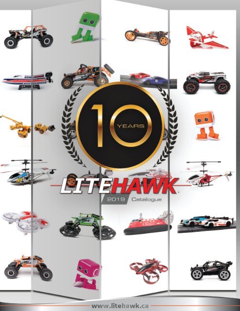 LiteHawk Brochure 2019
