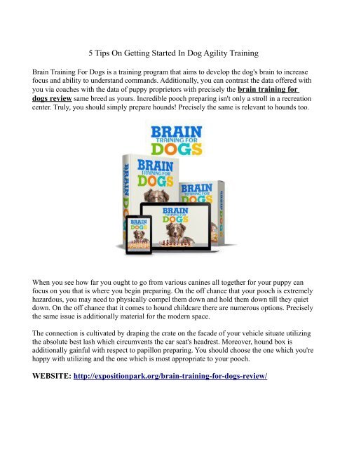 5 Tips On Getting Started In Dog Agility Training