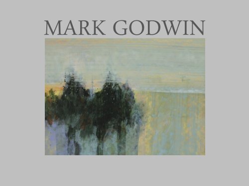 Mark Godwin - Incident