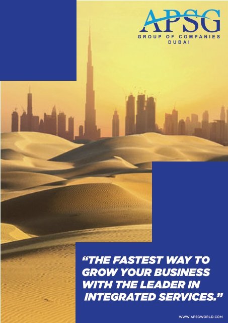 APSG Company Profile