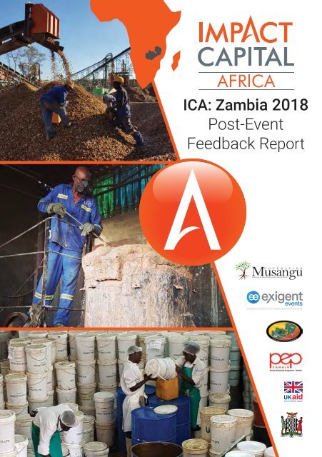 ICA Zambia 2018 Feedback Report