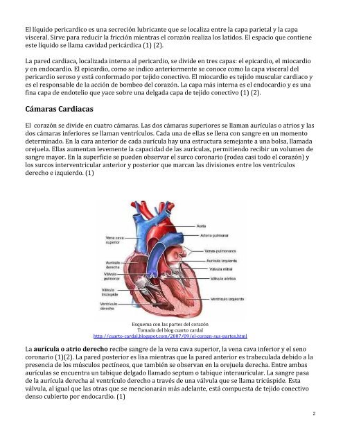 El líquido pericardico e