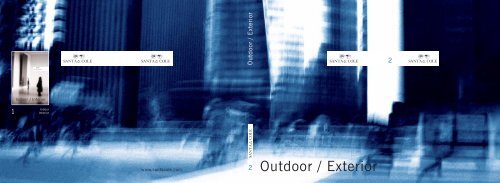 Robinia pseudoacacia - Ravago