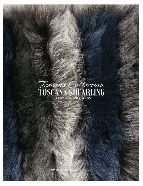 Arsin Rug Gallery Toscana Collection