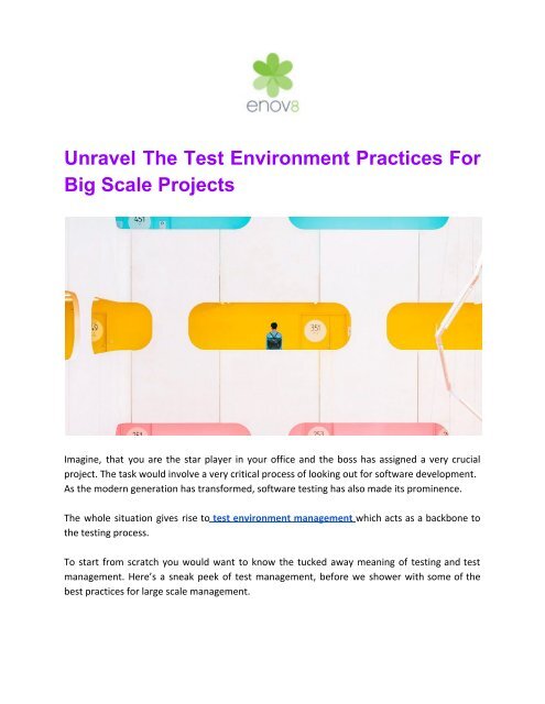 Unravel The Test Environment Practices For Big Scale Projects