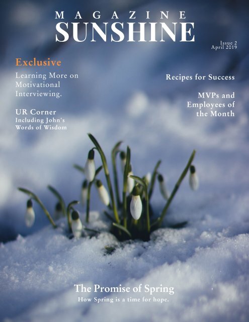 Magazine Sunshine Issue 2