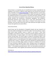 ROS1 Signaling Pathway