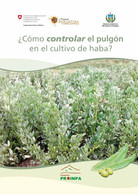 ¿Cómo controlar el pulgón en el cultivo de haba?