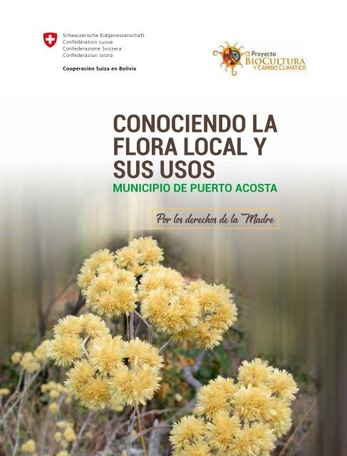 Conociendo la flora local y sus usos