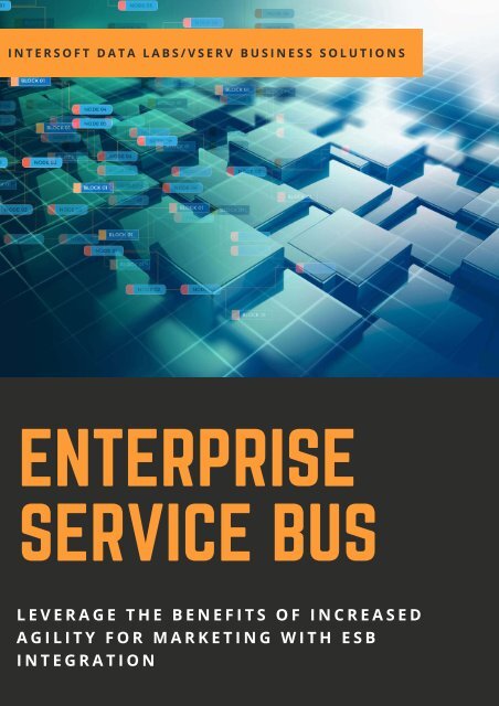 Enterprise Service Bus - Intersoft Data Labs